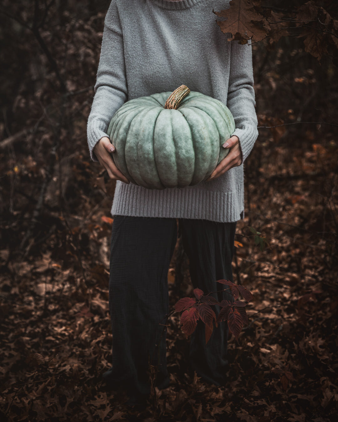 Pumpkin 'Jarrahdale' | Petal Back Farm